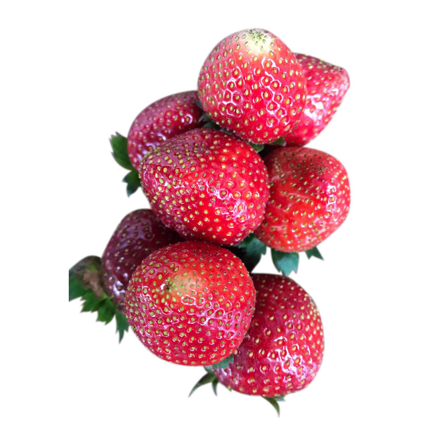 Strawberry – MaiMai Natural Food